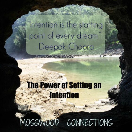 The Power of Setting an Intention - Mosswood Connections
