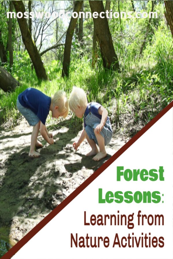 Forest Lessons: Learning from Nature Activities - Mosswood Connections